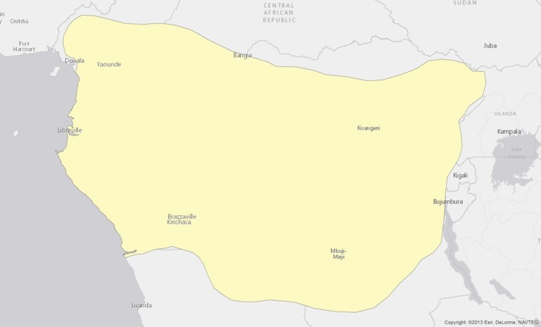 Congo Clawless Otter – African otter Network